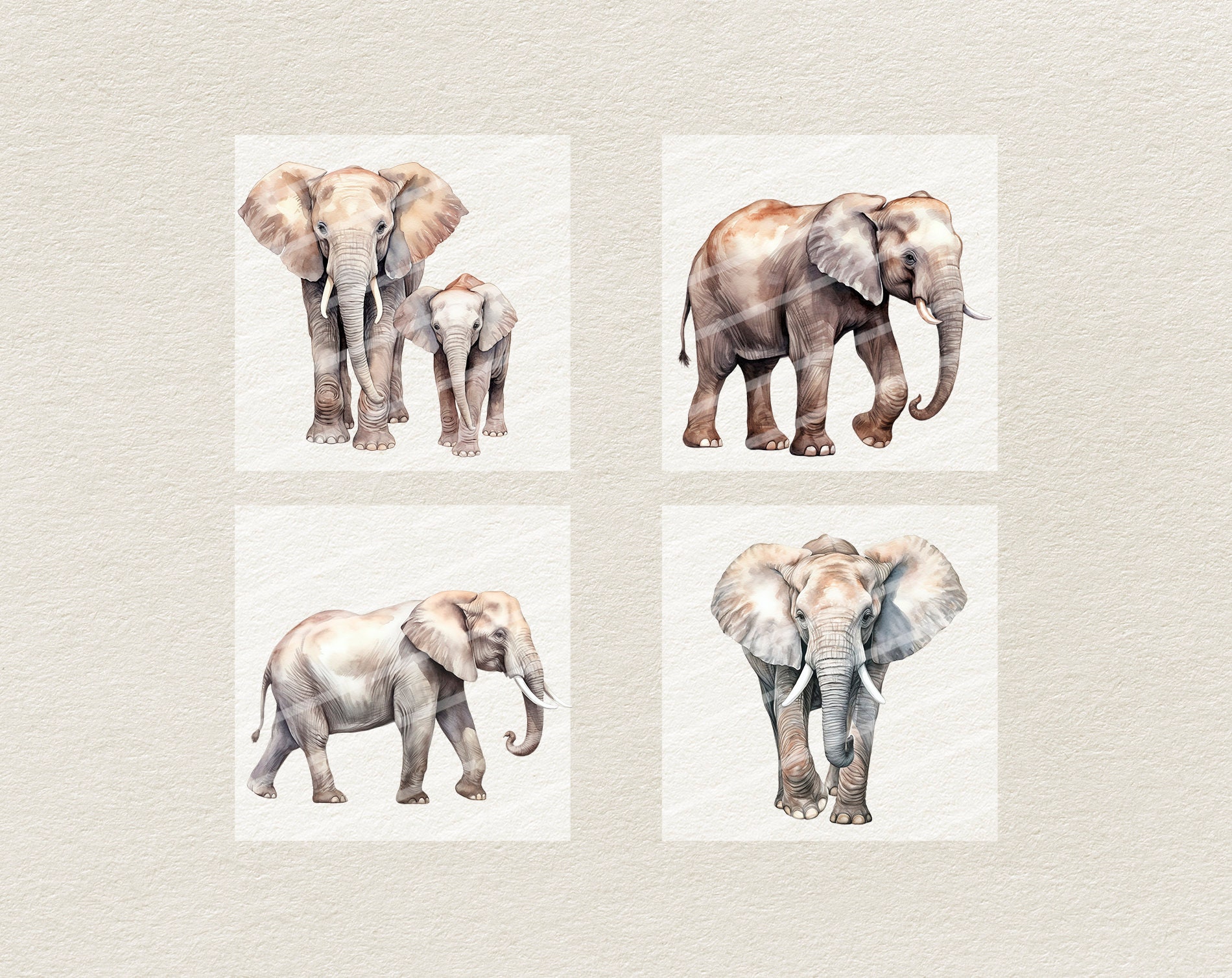 Watercolor Elephants Clipart - Digital Illustration - Baby Elephant PNG ...