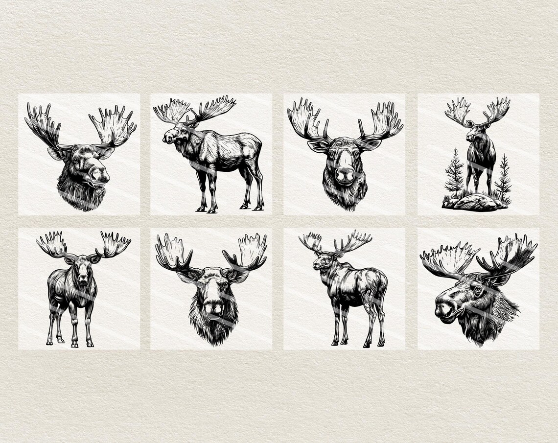Vector Moose Clipart - Line Art Digital Illustration - Elk Alces SVG ...