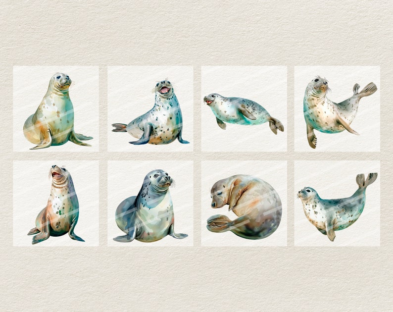 Aquarell Hafen Robbe Clipart - Digitale Illustration Seerobbe - Echte ...