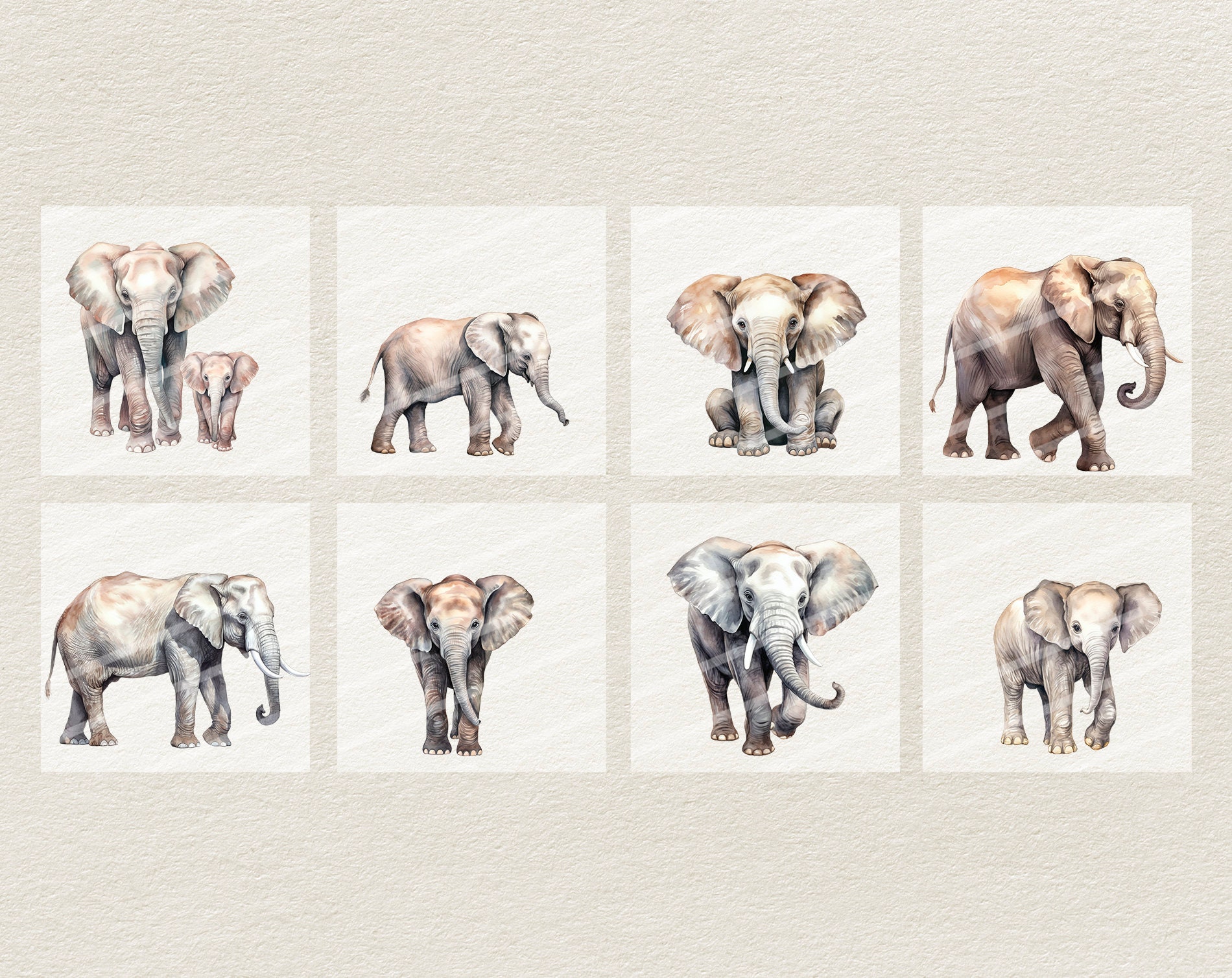 Watercolor Elephants Clipart - Digital Illustration - Baby Elephant PNG ...