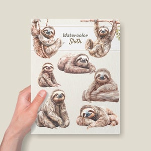 Watercolor Sloth Clipart - Digital Illustration Three–toed Sloths - PNG ...