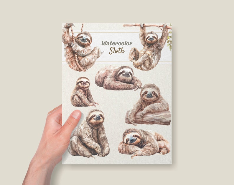 Watercolor Sloth Clipart - Digital Illustration Three–toed Sloths - PNG ...
