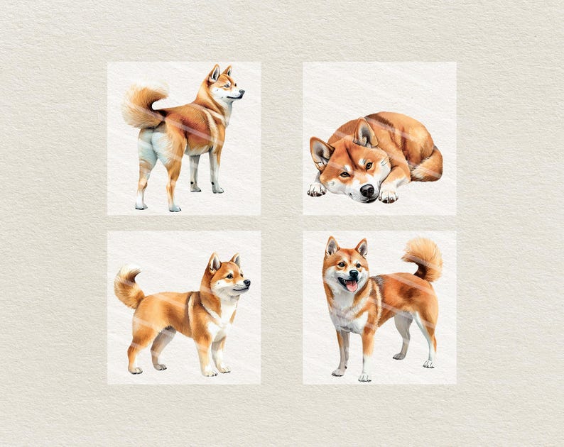 Watercolor Shiba Inu Clipart - Digital Illustration Doge - Puppy Shiba ...