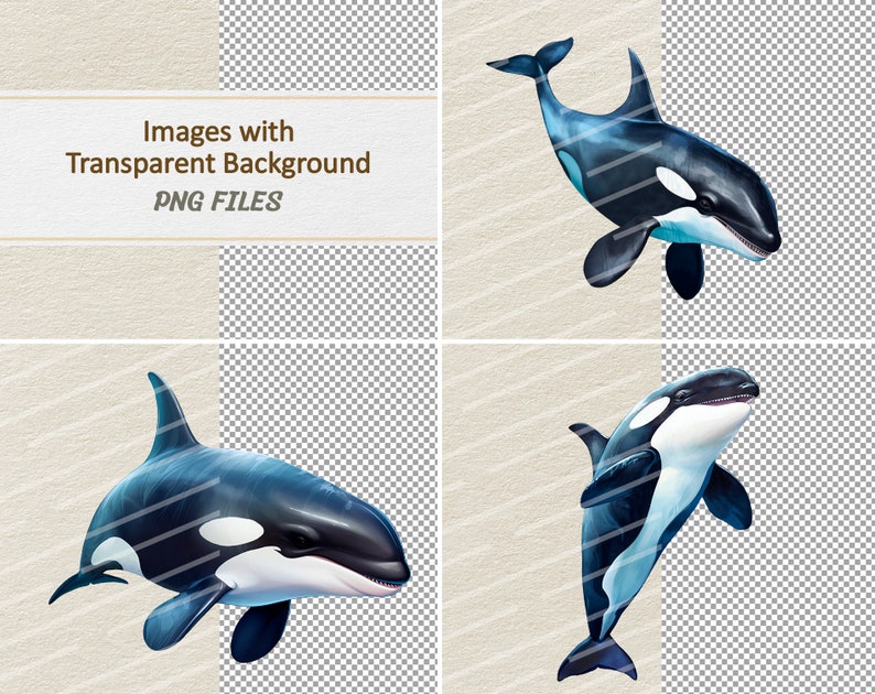 Watercolor Orca Clipart - Digital Illustration Killer Whale - Orcas PNG ...