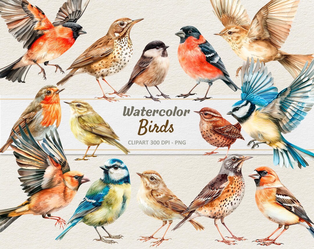 Watercolor Birds Clipart - Digital Illustration Spring - Woodland ...