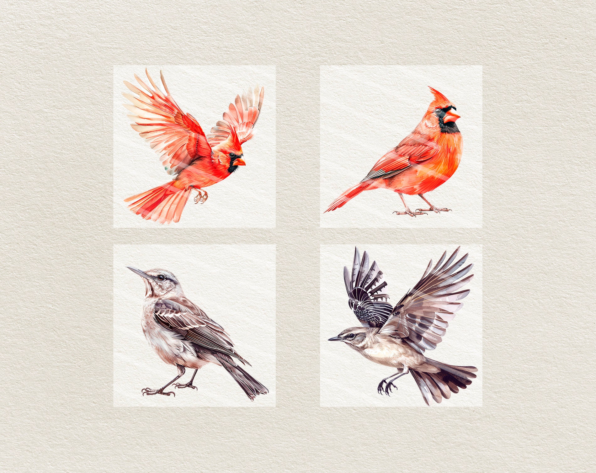 Watercolor Bird Clipart Digital Illustration Spring Woodland Birds PNG ...