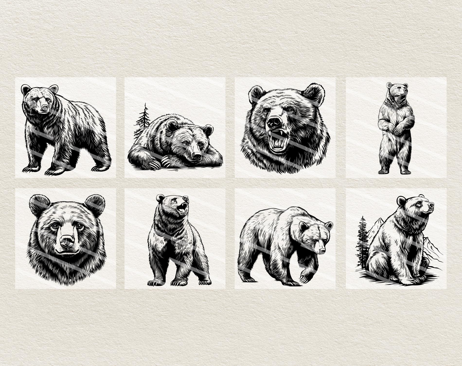 Vector Bear Clipart - Line Art Digital Illustration - Brown Bear SVG ...