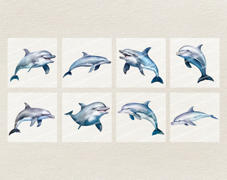 Watercolor Dolphin Clipart - Digital Illustration Dolphins - Bottlenose ...