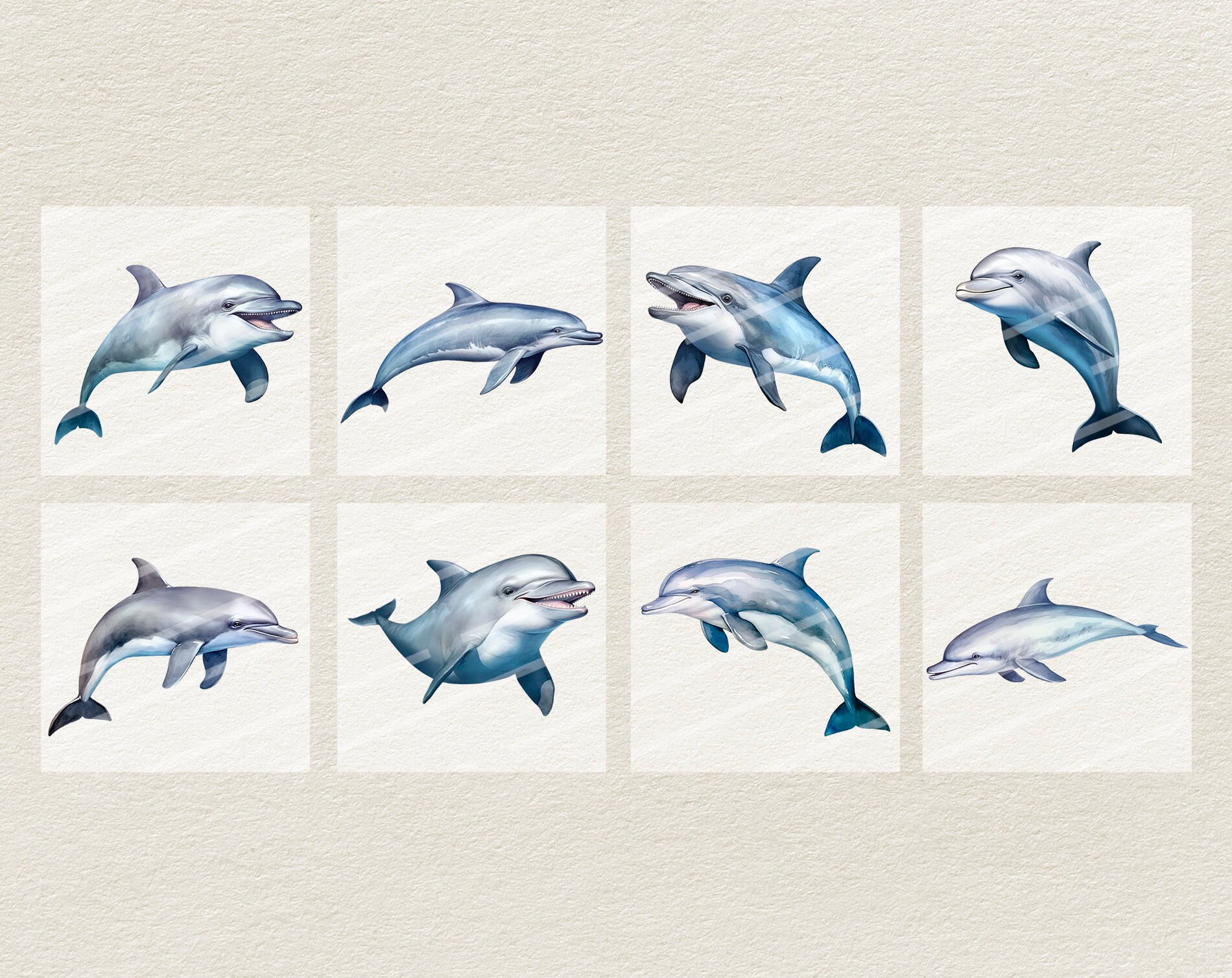 Watercolor Dolphin Clipart - Digital Illustration Dolphins - Bottlenose ...