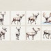 Watercolor Reindeer Clipart - Digital Illustration - Caribou Deer PNG ...
