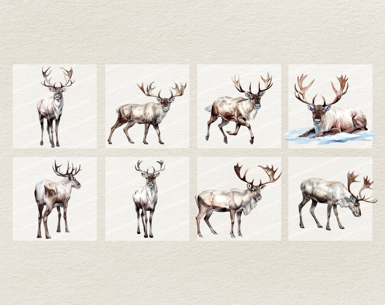 Watercolor Reindeer Clipart Digital Illustration Caribou - Etsy