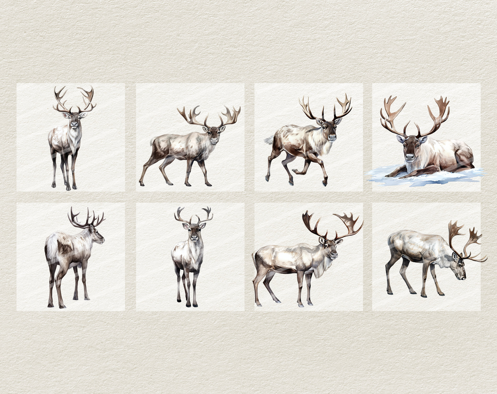Watercolor Reindeer Clipart Digital Illustration Caribou - Etsy
