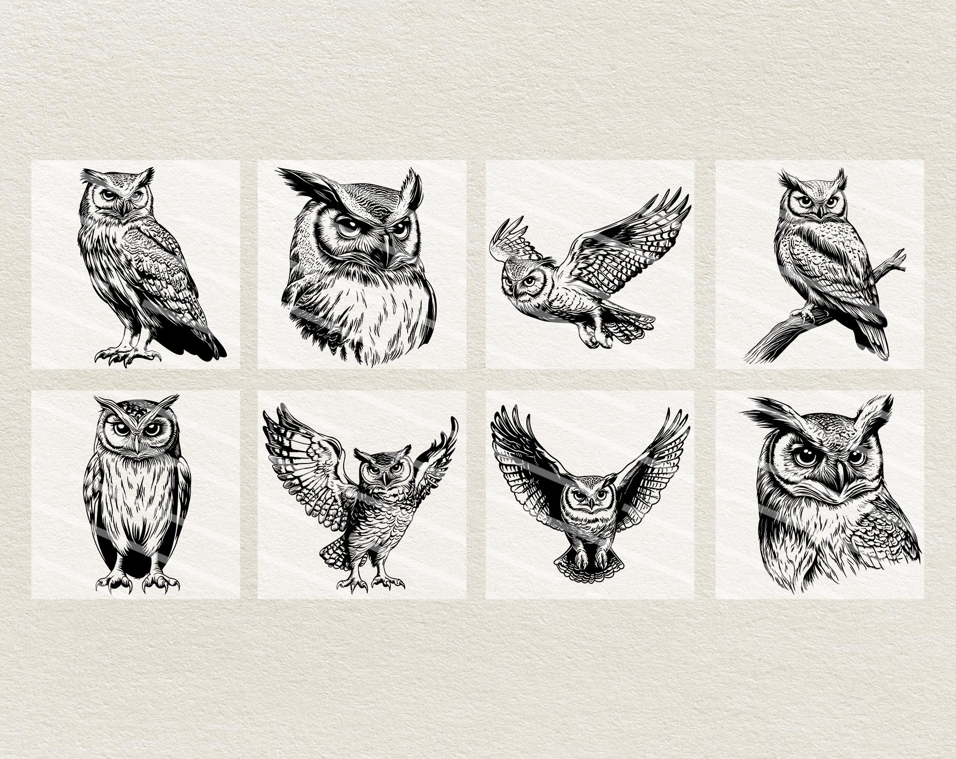 Vector Owl Clipart - Line Art Digital Illustration - Short Eared Owl ...