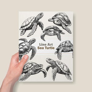 Vector Sea Turtle Clipart - Line Art Digital Illustration - Marine ...