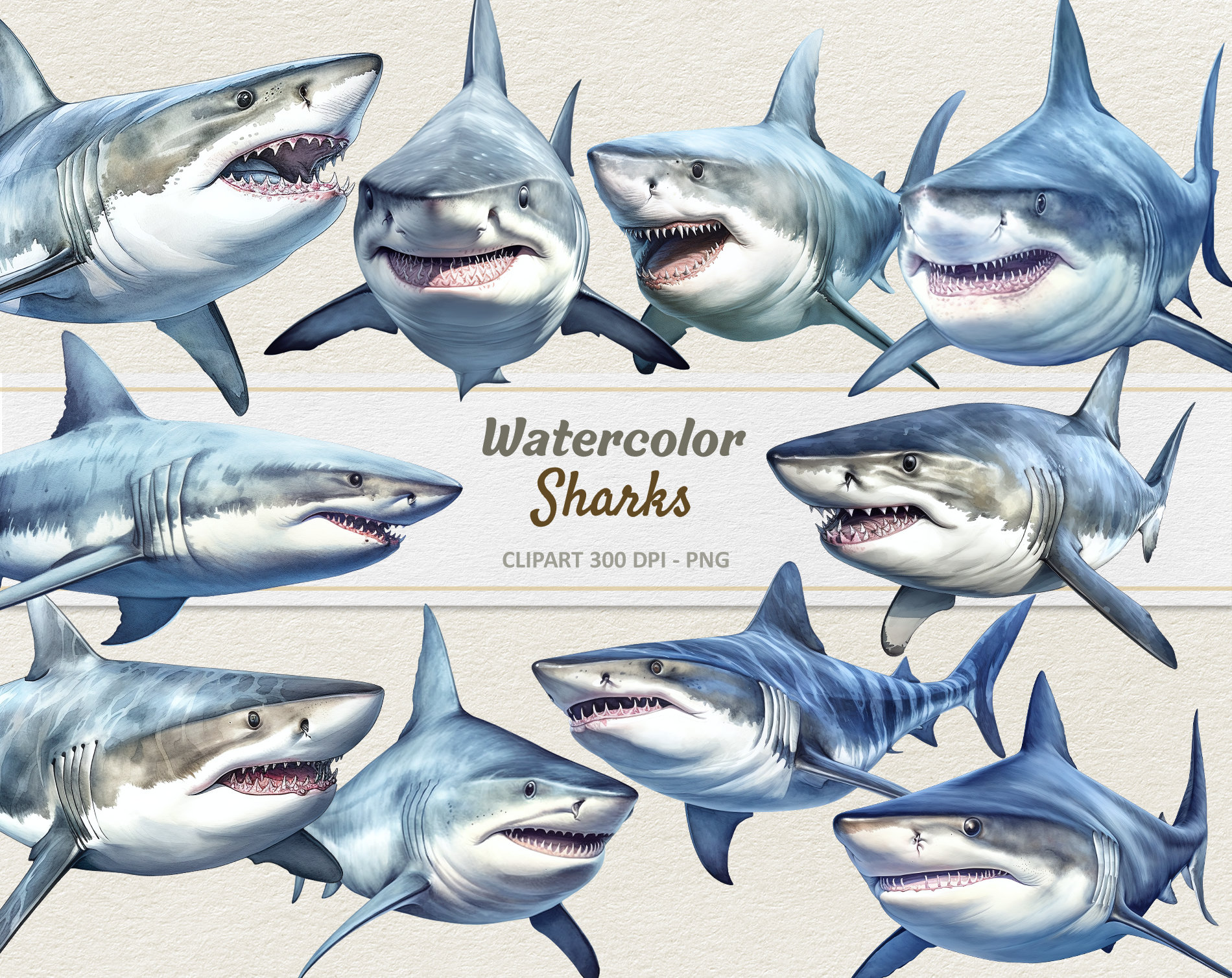 Watercolor Shark Clipart - Digital Illustration Sharks - Great White ...