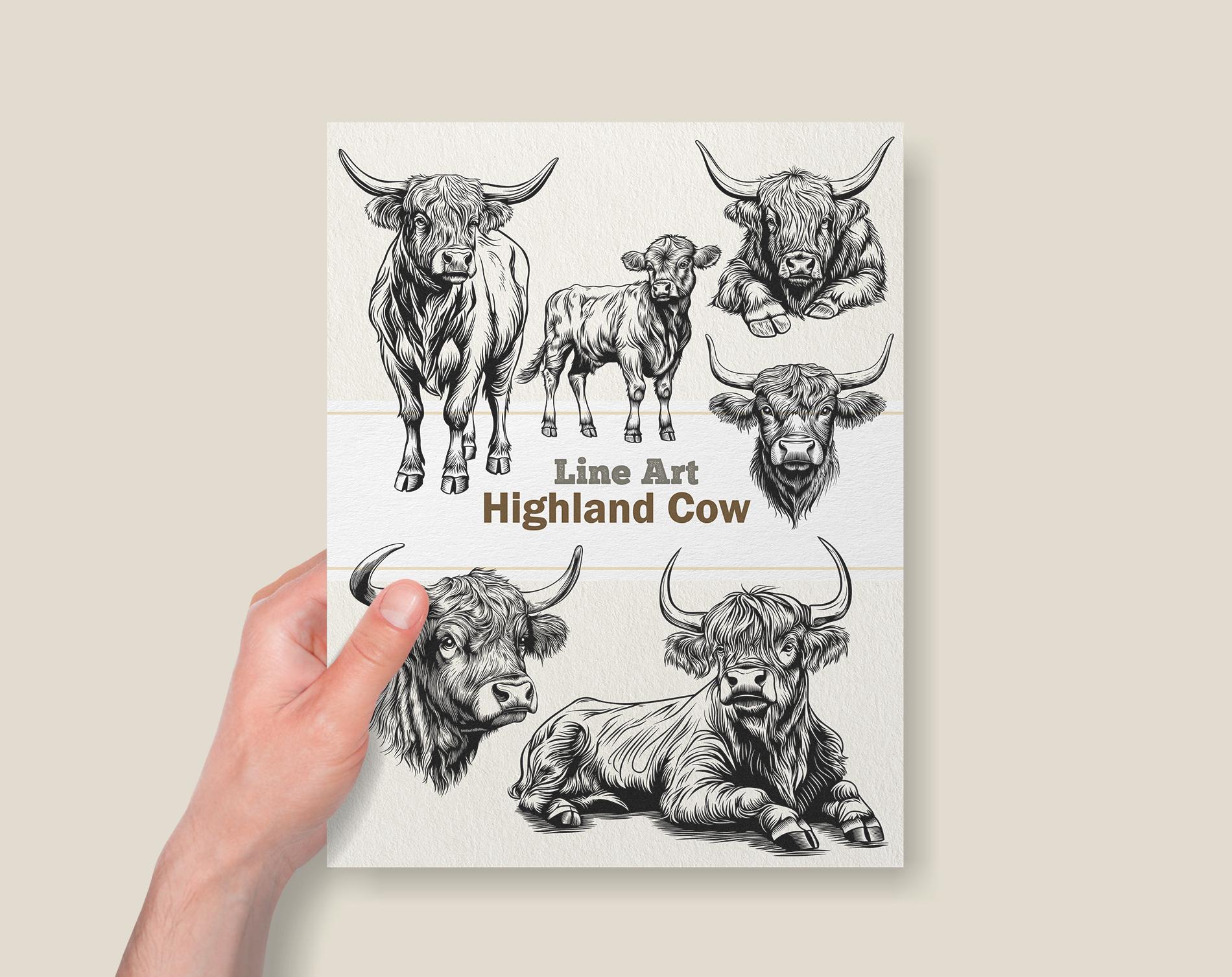 Vector Highland Cow Clipart - Line Art Digital Illustration - Highland ...