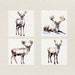 Watercolor Reindeer Clipart - Digital Illustration - Caribou Deer PNG ...