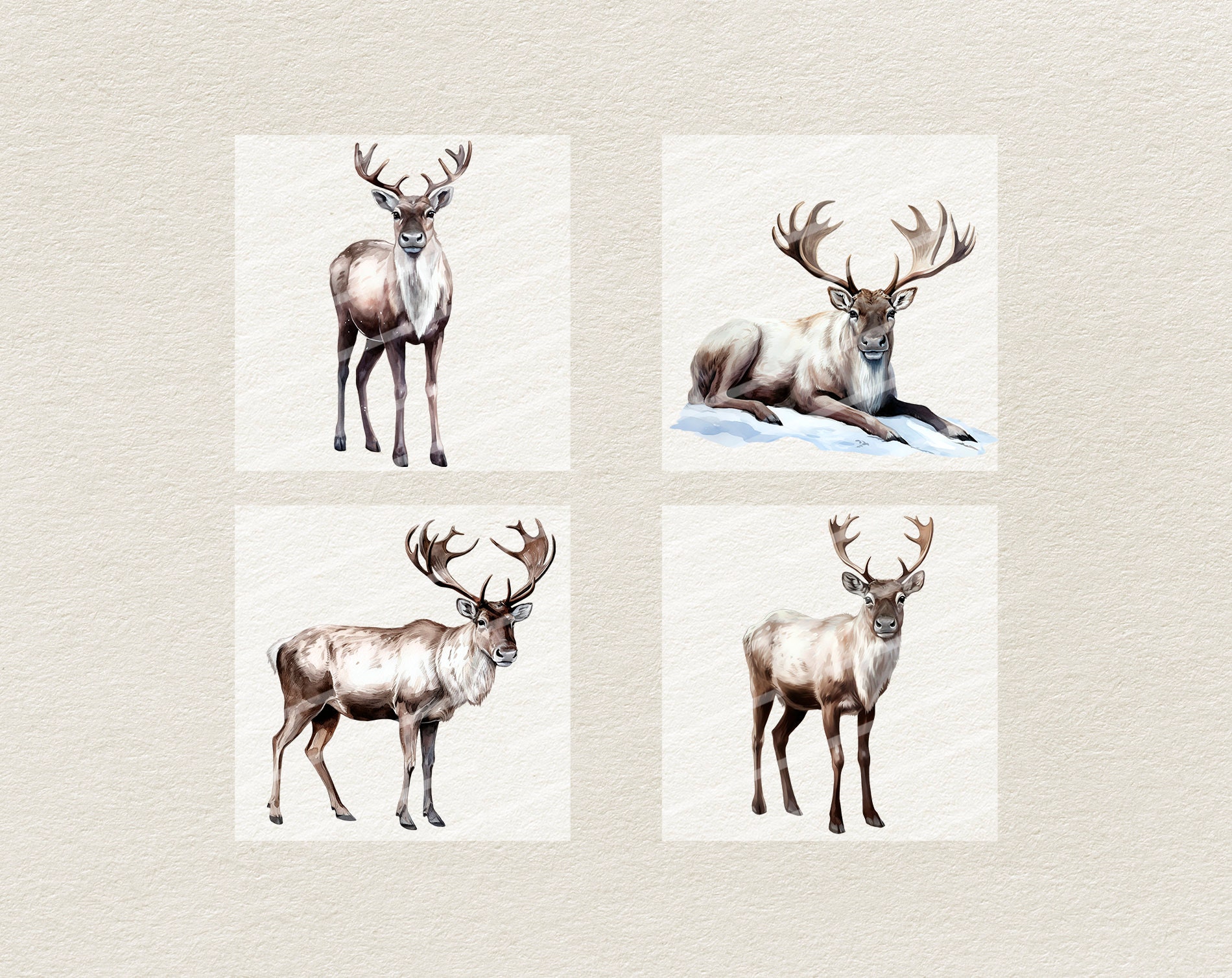 Watercolor Reindeer Clipart Digital Illustration Caribou - Etsy