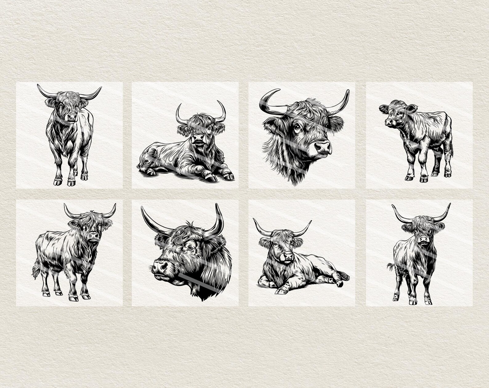 Vector Highland Cow Clipart - Line Art Digital Illustration - Highland ...