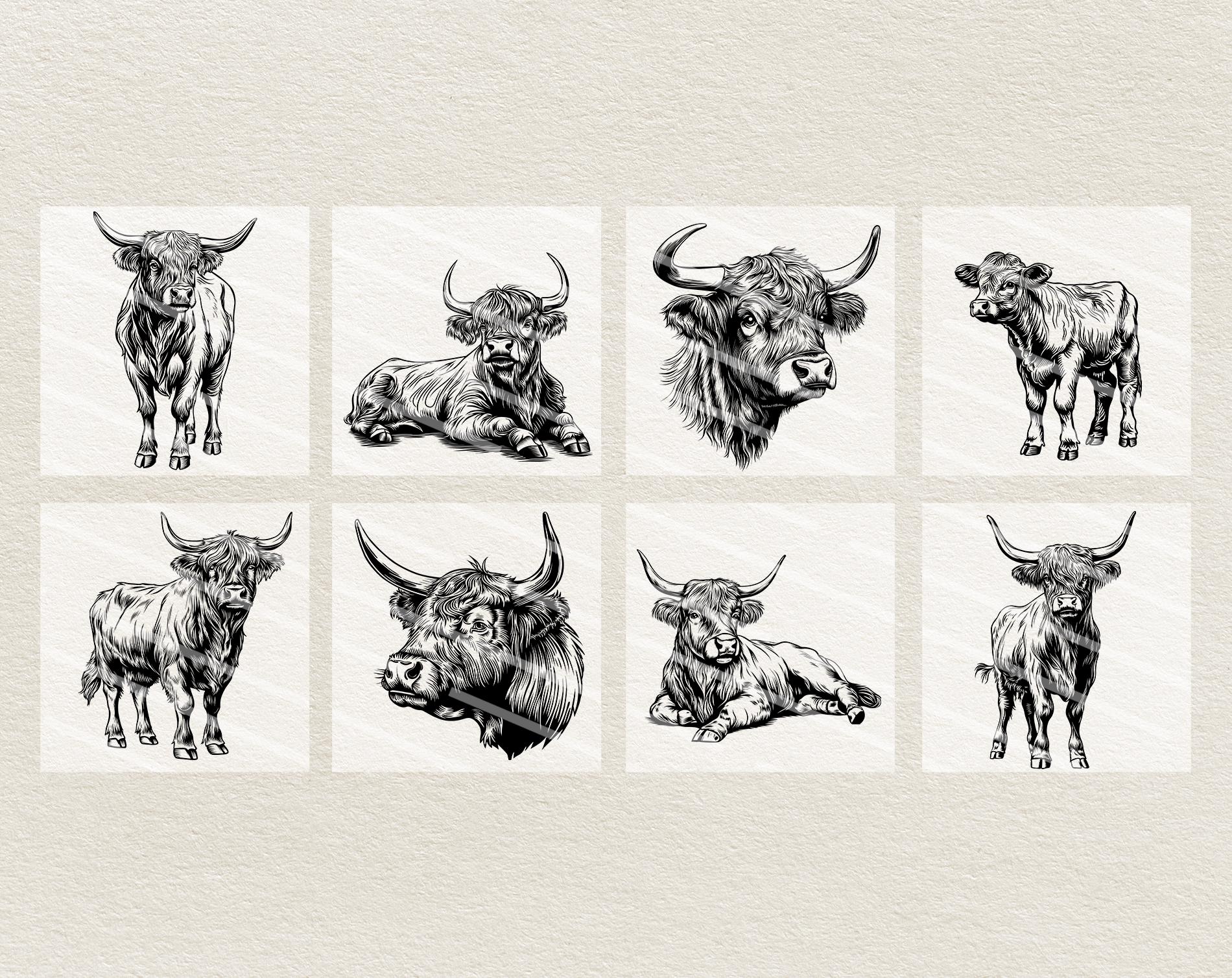 Vector Highland Cow Clipart - Line Art Digital Illustration - Highland ...
