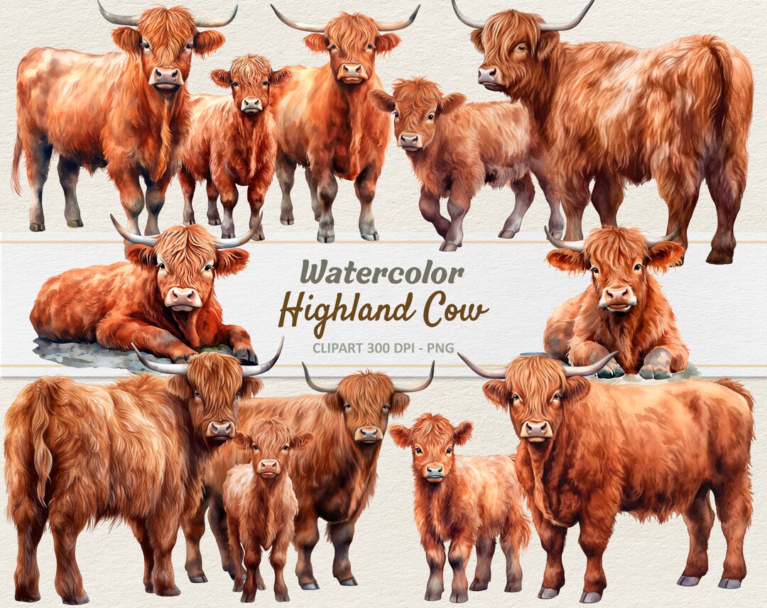 Watercolor Highland Cow Clipart - Digital Illustration - Highland ...