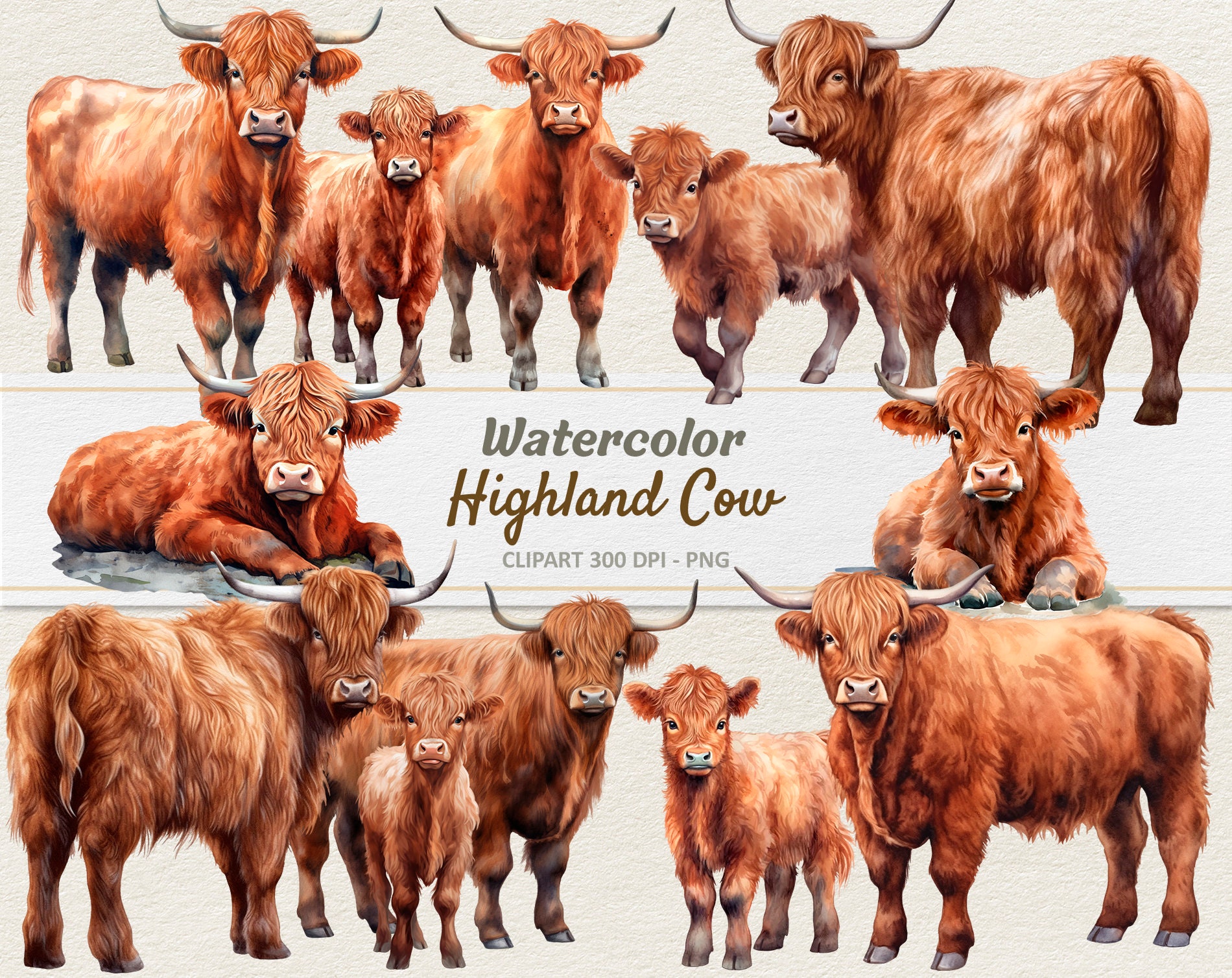 Watercolor Highland Cow Clipart - Digital Illustration - Highland ...