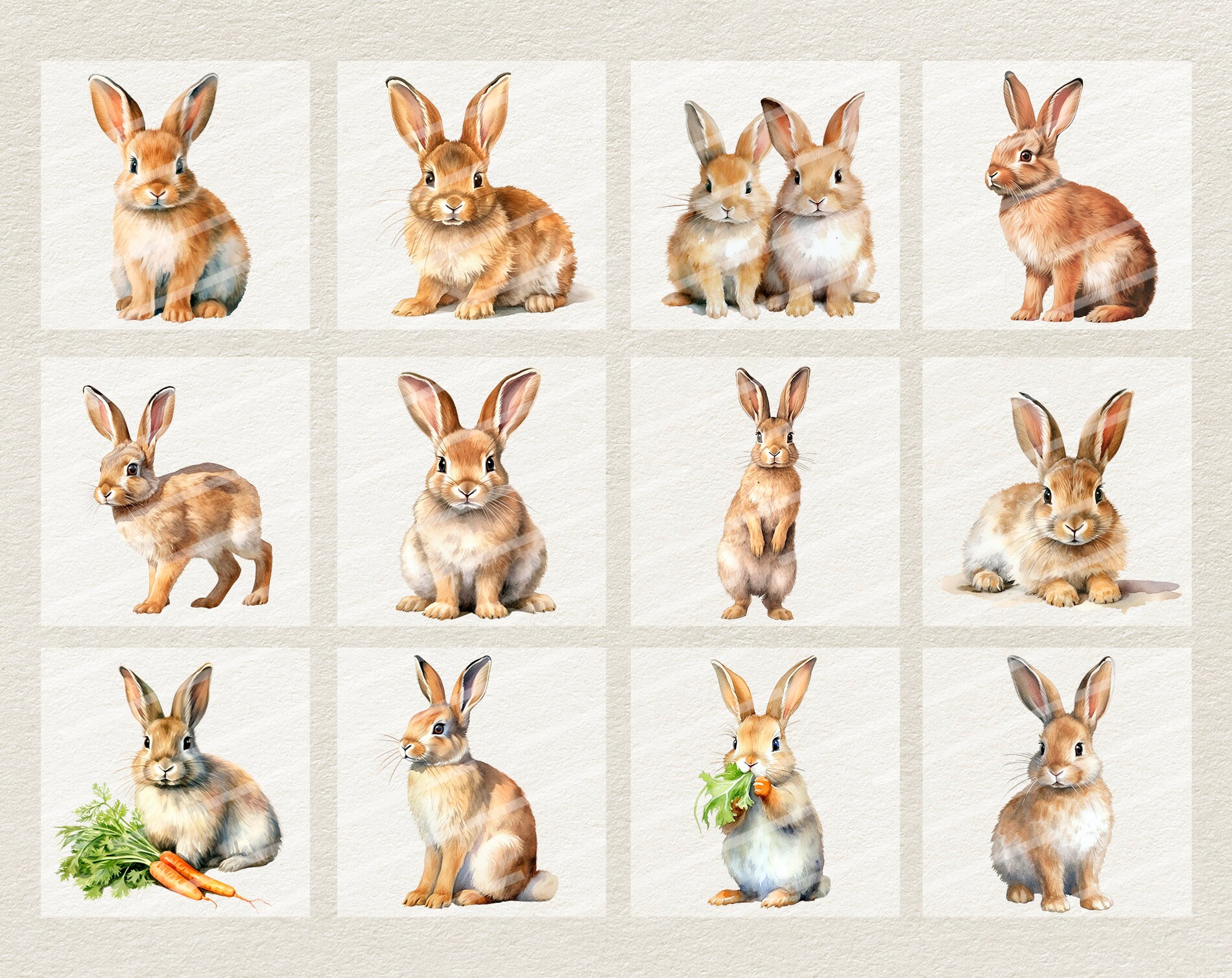 Watercolor Bunnies Clipart Bundle Digital Illustration Bunny Rabbit PNG ...