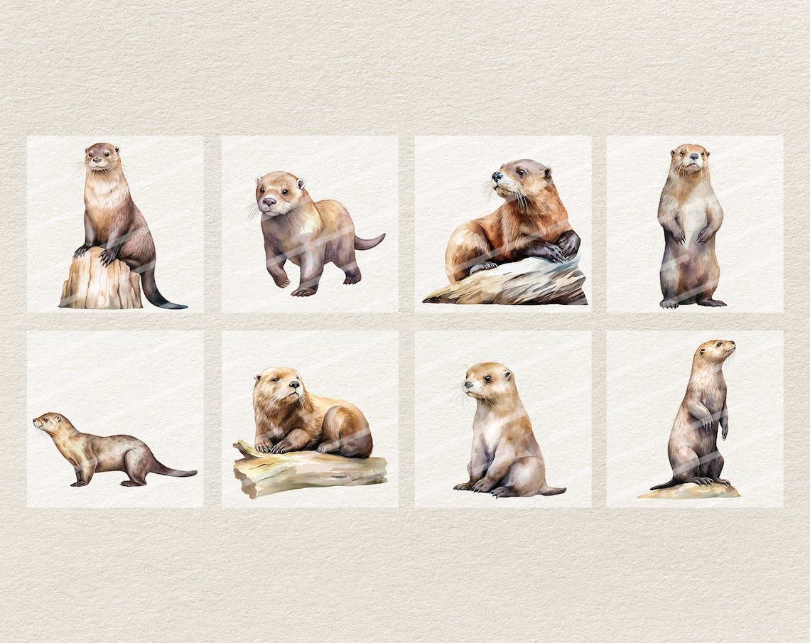 Watercolor Otter Clipart - Digital Illustration - Baby Otters PNG ...