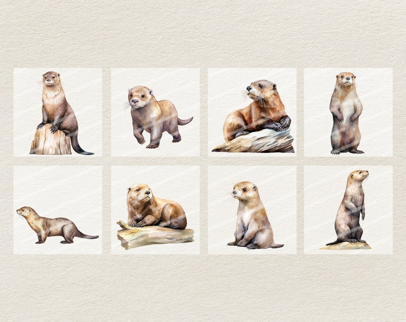 Watercolor Otter Clipart - Digital Illustration - Baby Otters PNG ...