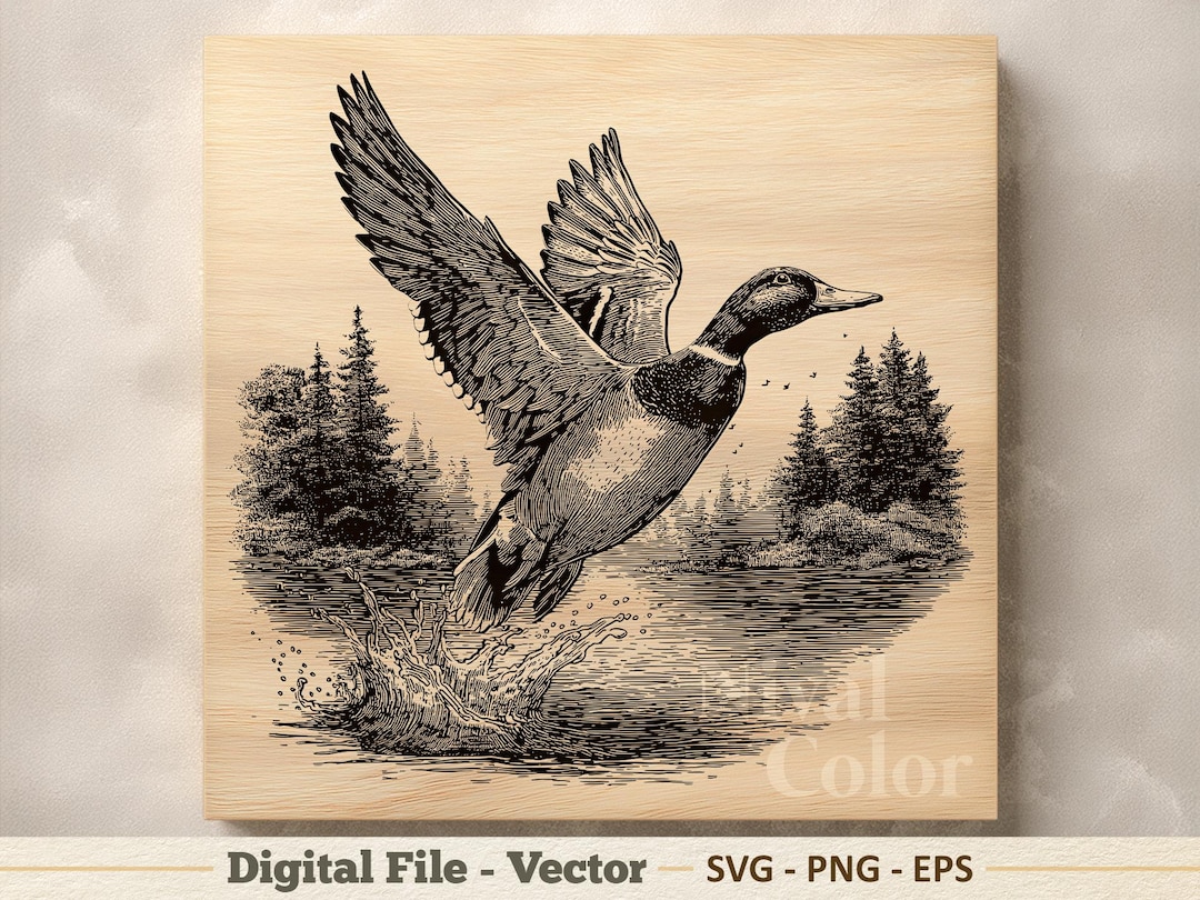 Mallard Duck Vector Illustration SVG – Line Art Wild Duck PNG - Laser ...