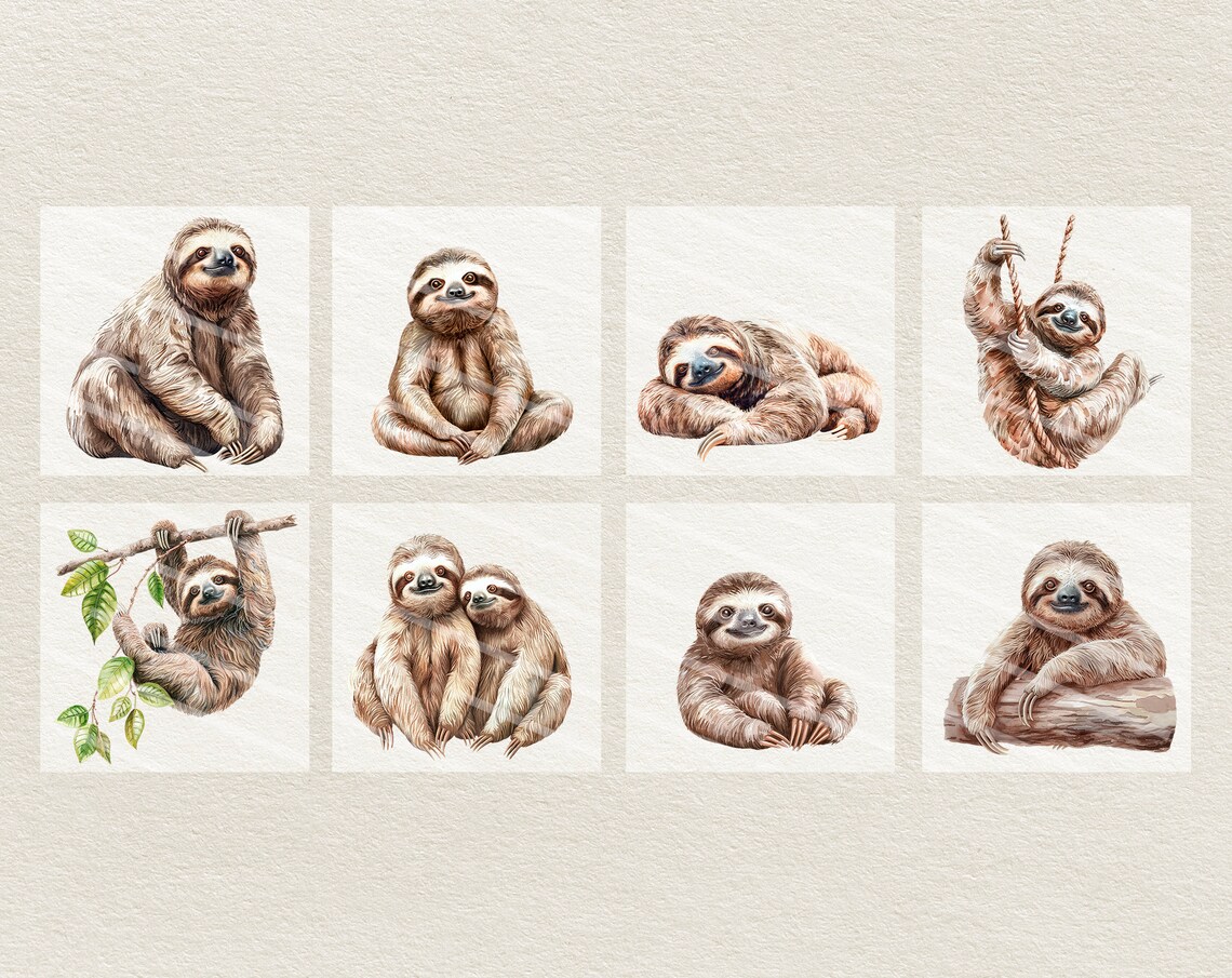 Watercolor Sloth Clipart Digital Illustration Threetoed Sloths PNG ...