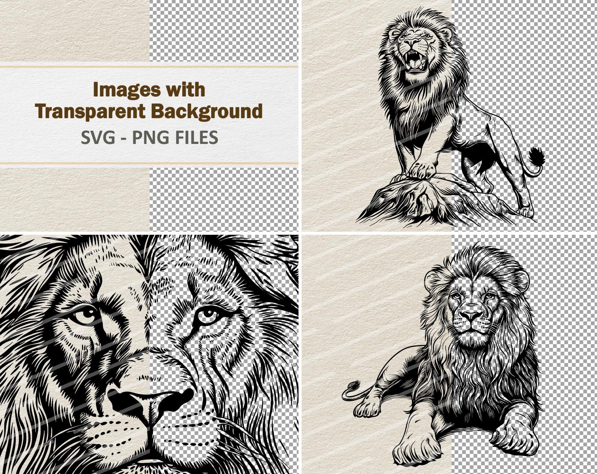 Vector Lion Clipart - Line Art Digital Illustration - Lion SVG PNG EPS ...