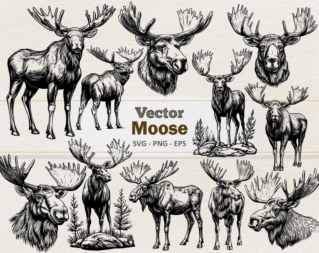 Vector Moose Clipart - Line Art Digital Illustration - Elk Alces SVG ...