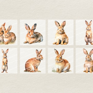 Watercolor Bunnies Clipart - Digital Illustration Bunny - Rabbit PNG ...