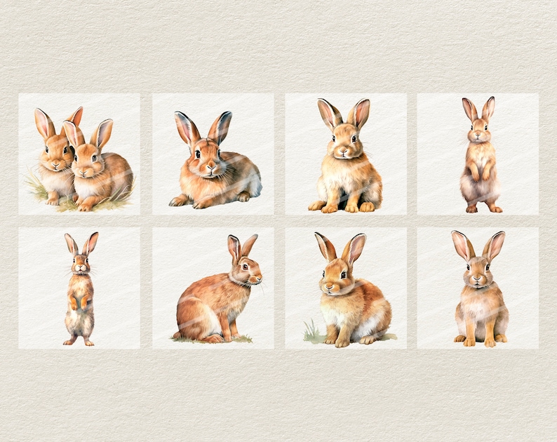 Watercolor Bunnies Clipart Digital Illustration Bunny - Etsy