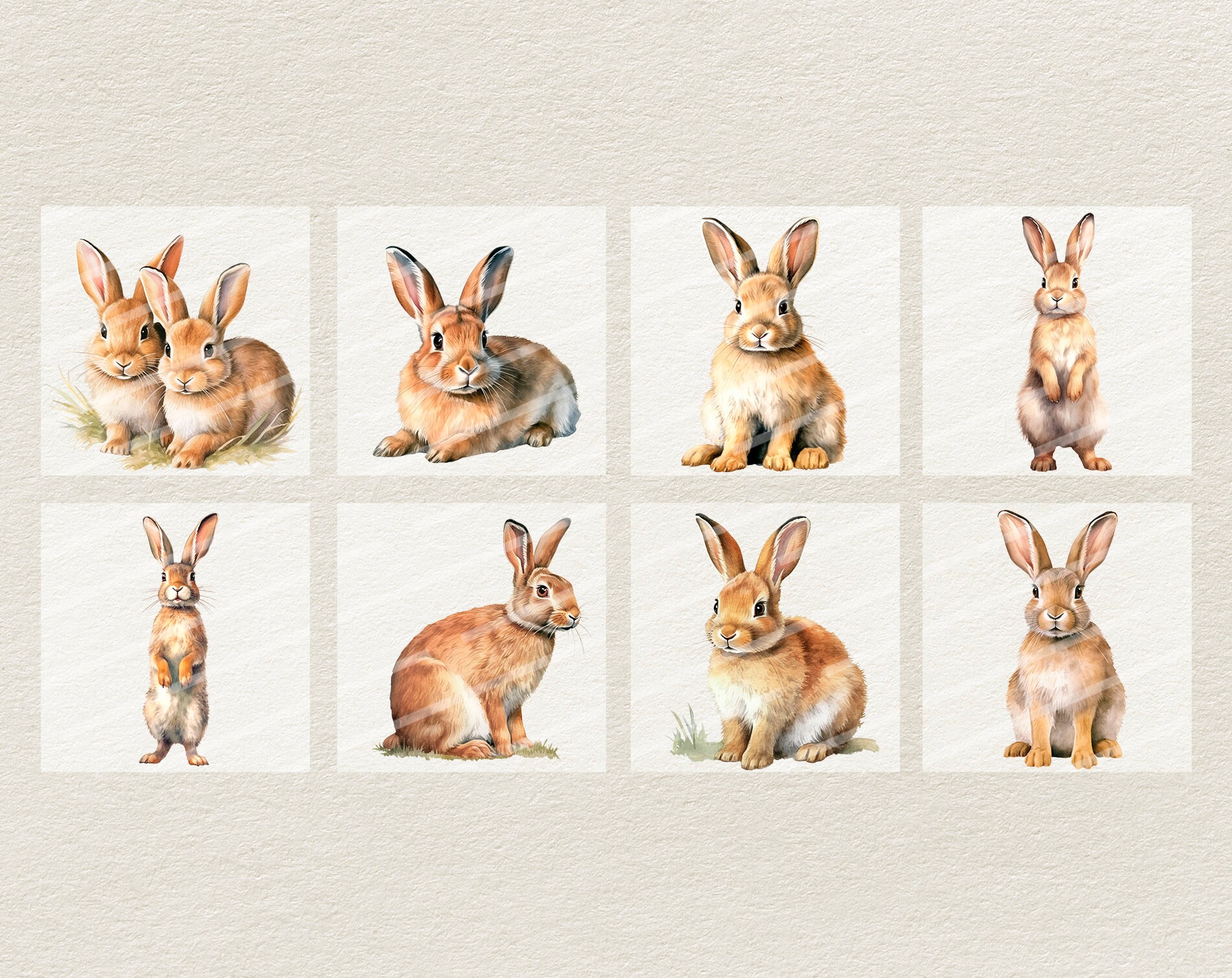 Watercolor Bunnies Clipart - Digital Illustration Bunny - Rabbit PNG ...