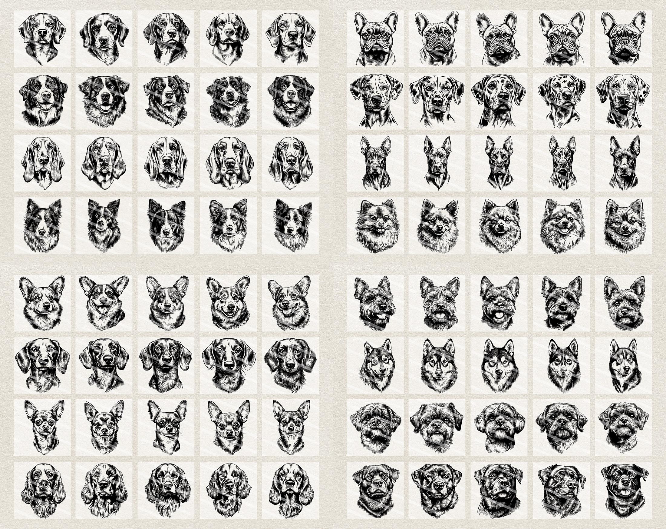 Vector Dog Heads Clipart - Line Art Digital Illustration - Breeds ...