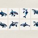 Watercolor Orca Clipart - Digital Illustration Killer Whale - Orcas PNG ...