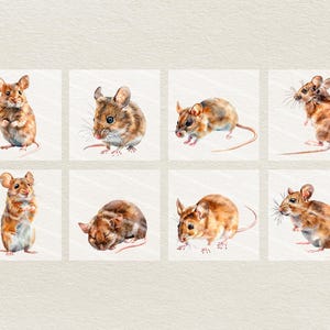 Watercolor Mouse Clipart - Digital Mice Illustration - Rodent PNG ...