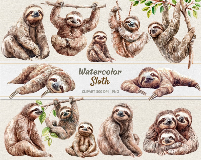 Watercolor Sloth Clipart - Digital Illustration Three–toed Sloths - PNG ...