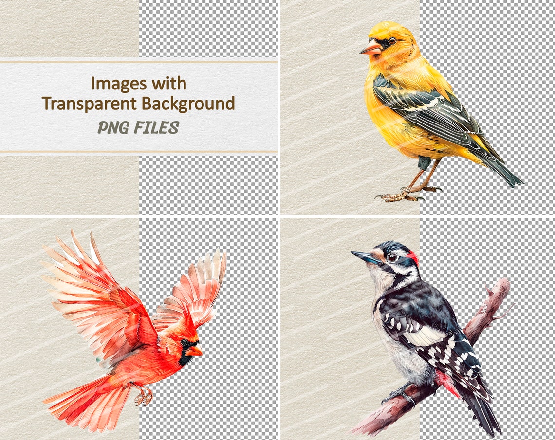 Watercolor Bird Clipart Digital Illustration Spring Woodland Birds PNG ...