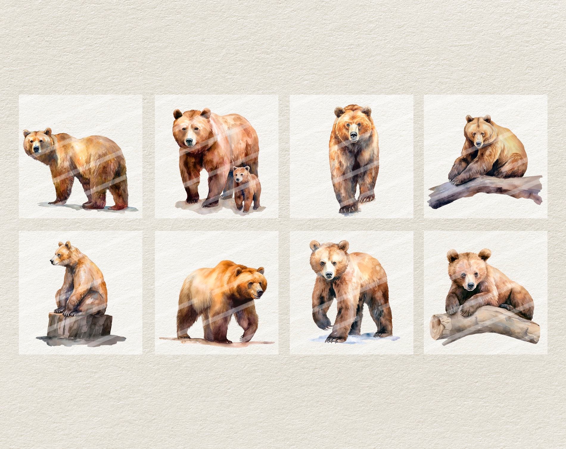 Watercolor Bear Clipart - Digital Illustration - Brown Bear PNG ...