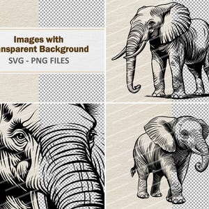 Vector Elephant Clipart - Line Art Digital Illustration - Elephant SVG ...
