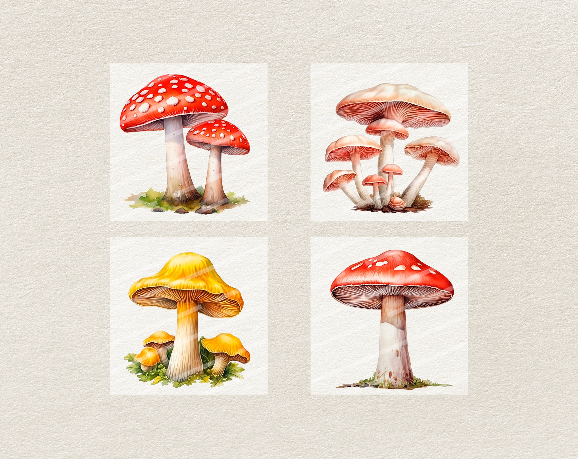 Watercolor Mushrooms Clipart Digital Illustration Fungus - Etsy