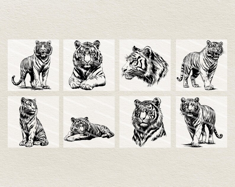 Vector Tiger Clipart - Line Art Digital Illustration - Tigers SVG PNG ...