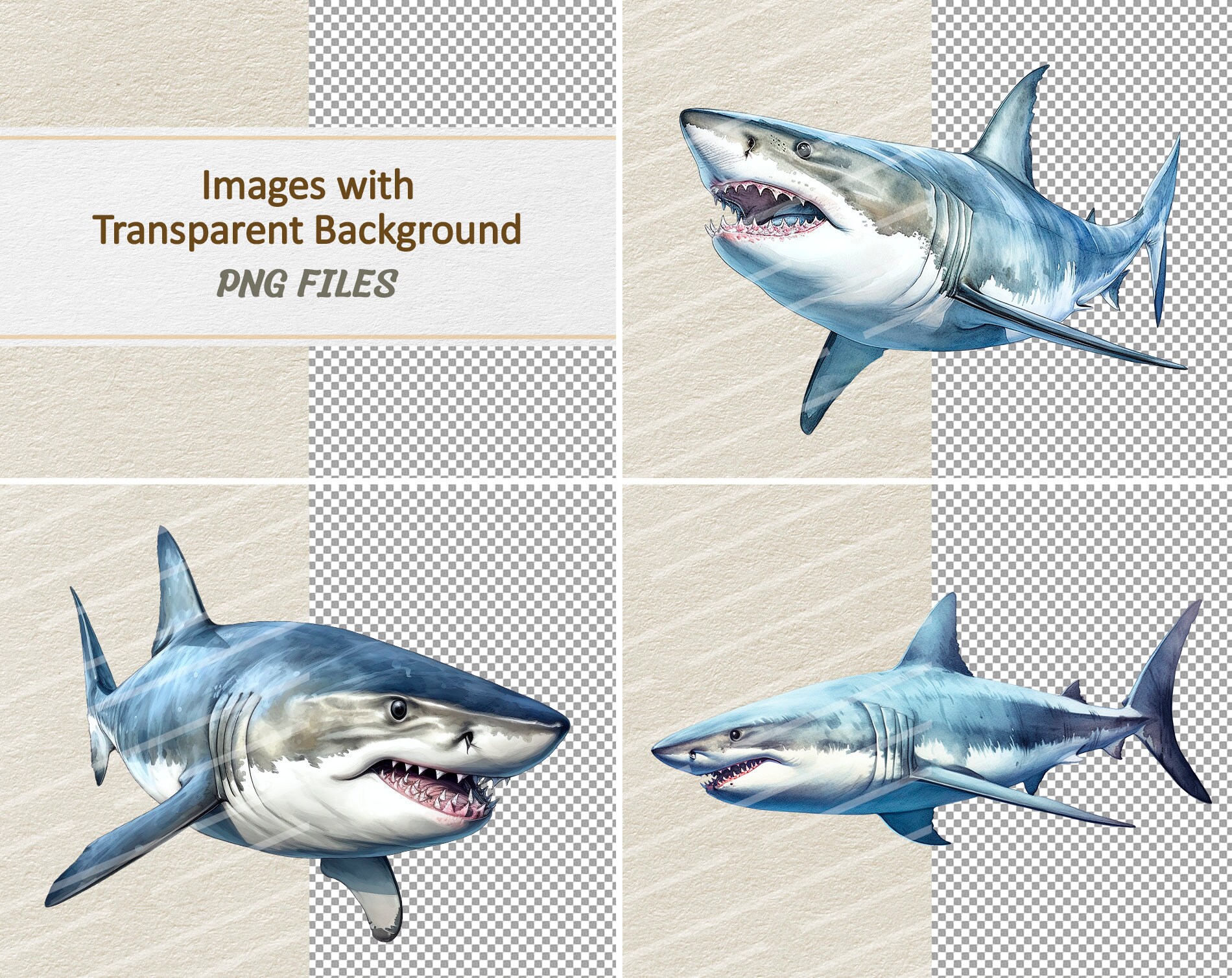 Watercolor Shark Clipart - Digital Illustration Sharks - Great White ...