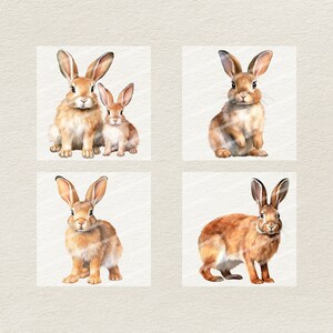 Watercolor Bunnies Clipart - Digital Illustration Bunny - Rabbit PNG ...