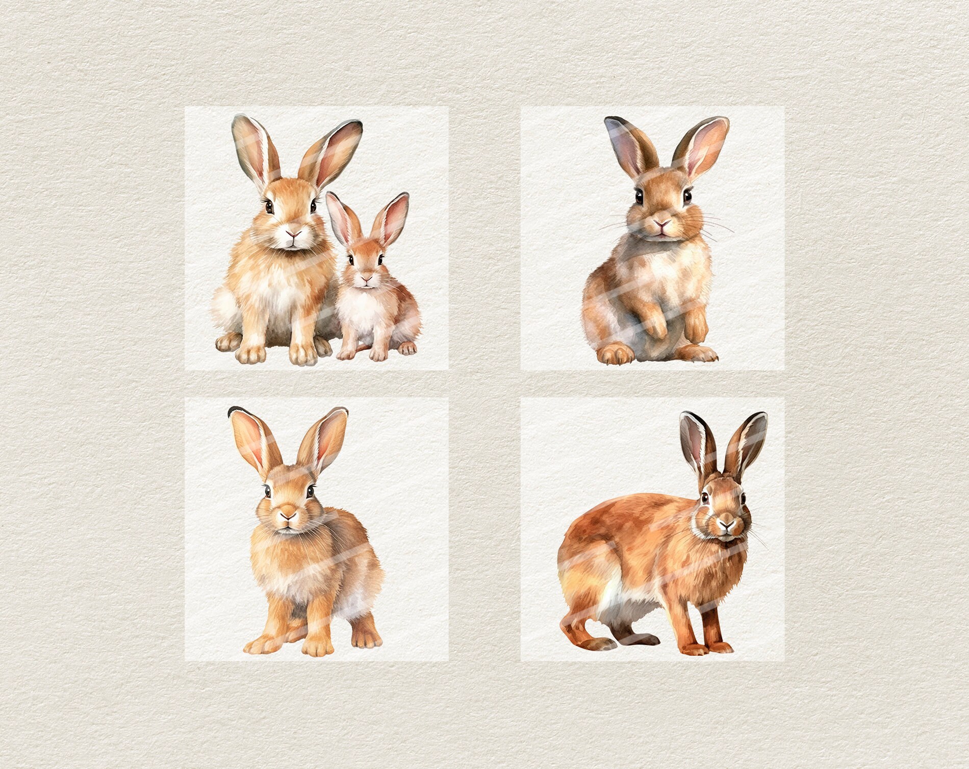 Watercolor Bunnies Clipart - Digital Illustration Bunny - Rabbit PNG ...