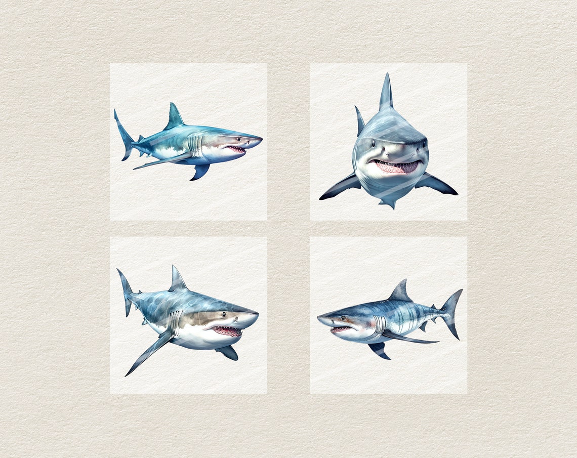Watercolor Shark Clipart - Digital Illustration Sharks - Great White ...