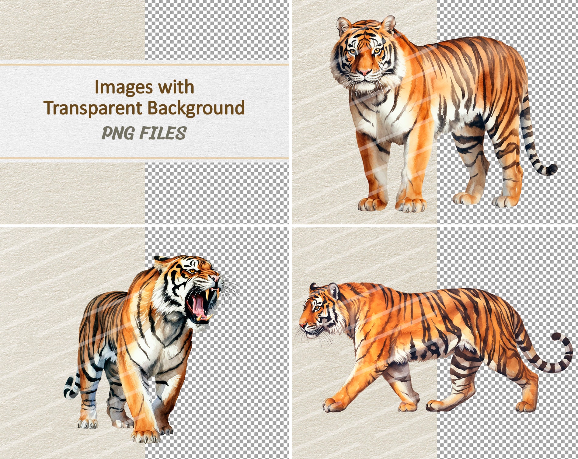 Watercolor Tiger Clipart - Digital Illustration Tigers - Tiger PNG ...
